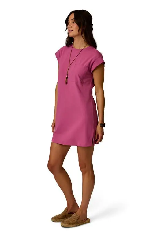 Carve Designs Cosmo Mini Dress - Rouge