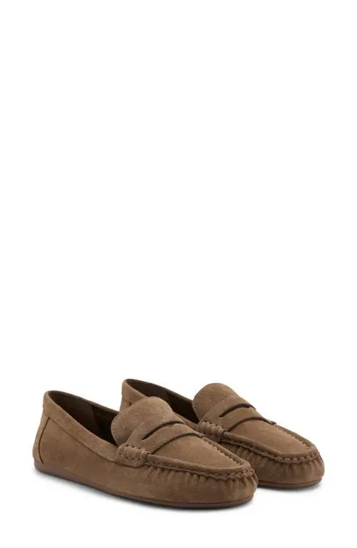 Mango Suede Penny Loafer