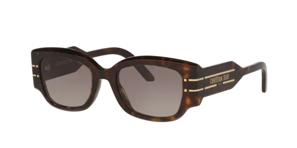 Dior Diorsignature S13i Sunglasses - Brown Gradient