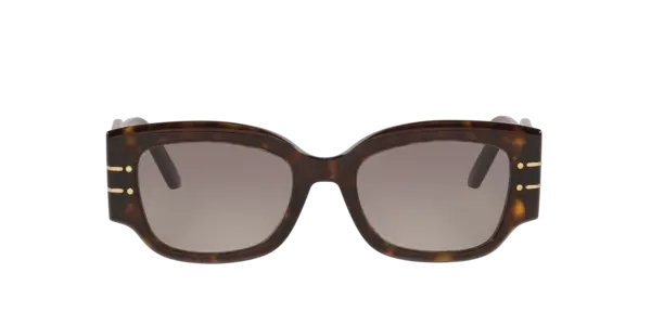 Dior Diorsignature S13i Sunglasses - Brown Gradient