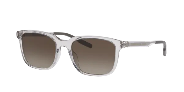 Dior Sunglasses - Brown Gradient