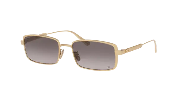 Dior Diorcannage Sunglasses - Grey Gradient