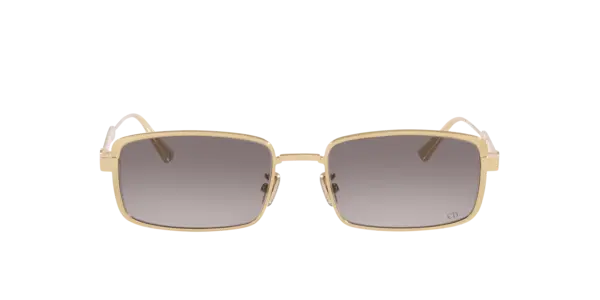 Dior Diorcannage Sunglasses - Grey Gradient