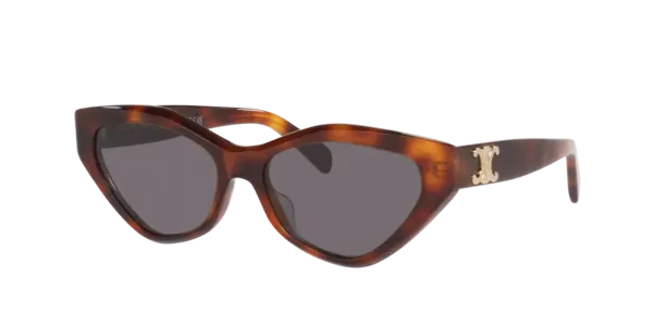 Celine Triomphe Sunglasses - Grey