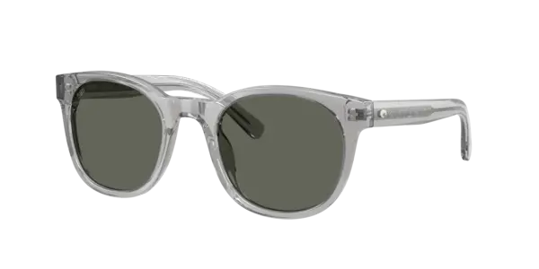 COSTA Sunglasses - Gray