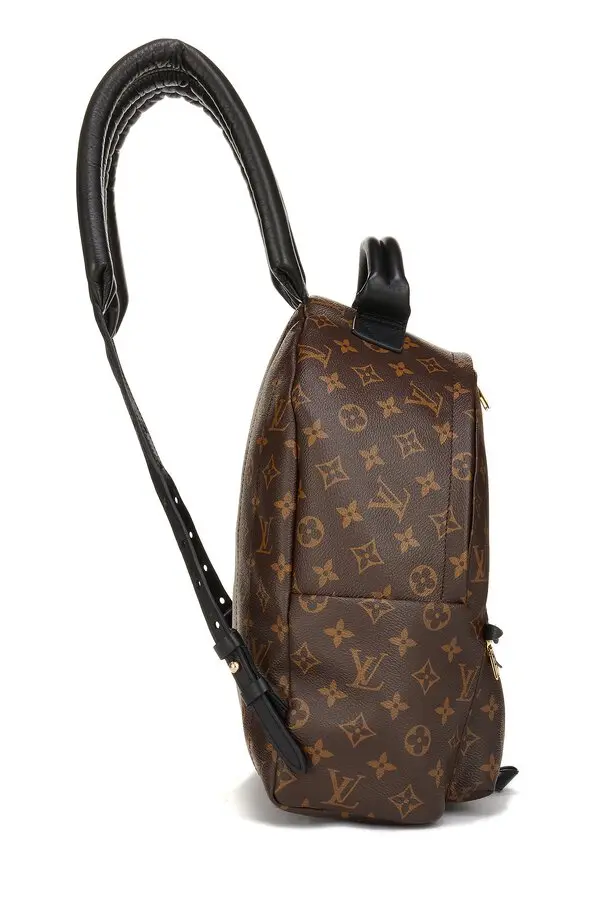 LOUIS VUITTON Monogram Canvas Palm Springs Backpack - Brown
