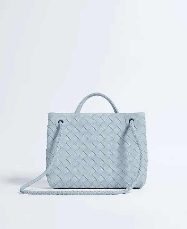 Bottega Veneta Small Andiamo Top-handle Bag
