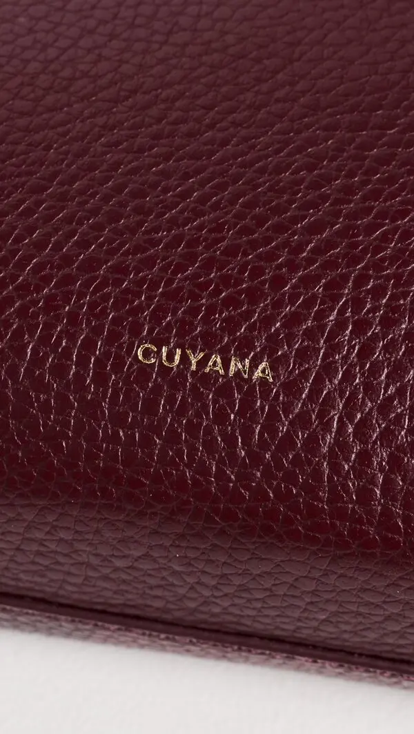 Cuyana Small Zipper Pouch