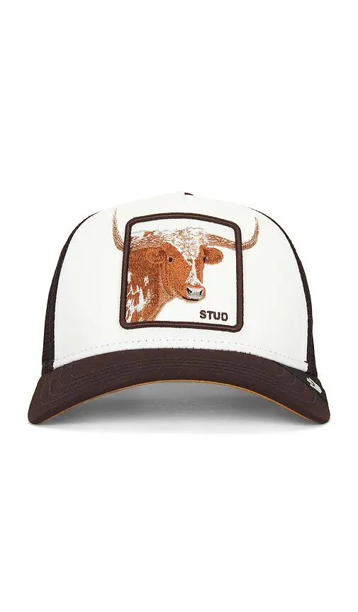 GOORIN BROS Over The Line Longhorn Hat In Brown