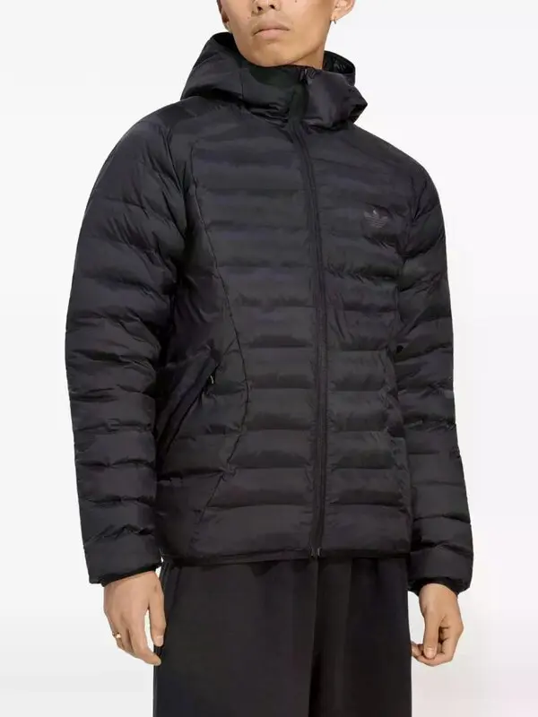 Adidas Teamgeist Hooded Puffer Jacket