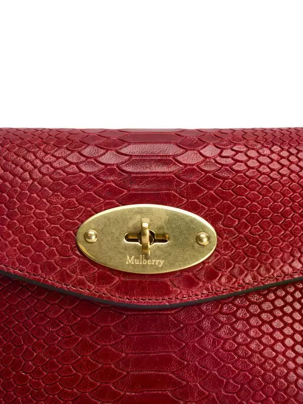 Mulberry Darley Snakeskin-effect Makeup Bag - Red