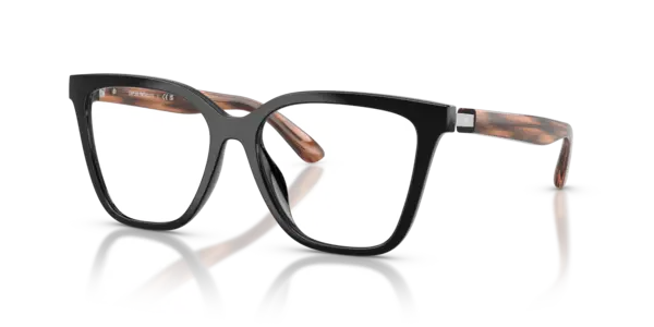 Emporio Armani Sunglass Ea4254u - Clear