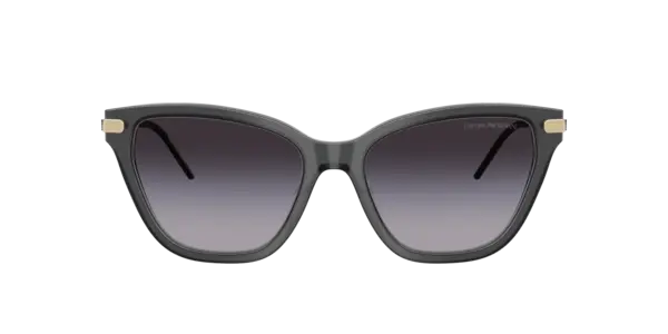 Emporio Armani Sunglass Ea4251f