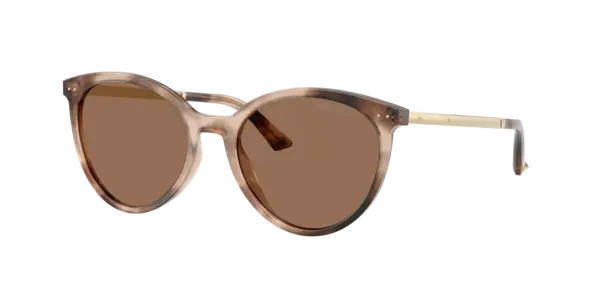 JIMMY CHOO Sunglass Jc5060f - Dark Brown