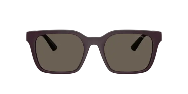 Emporio Armani Sunglass Ea4269f - Brown