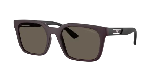 Emporio Armani Sunglass Ea4269 - Brown