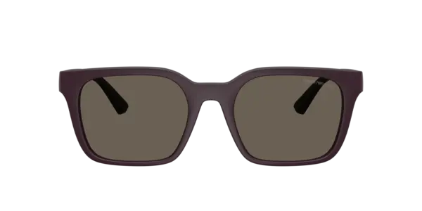 Emporio Armani Sunglass Ea4269 - Brown