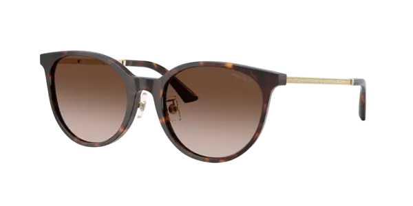 JIMMY CHOO Sunglass Jc5056jd - Gradient Brown