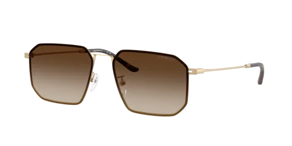 Emporio Armani Sunglass Ea2165d - Gradient Brown