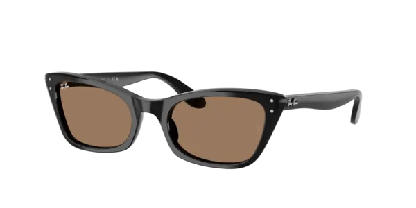 Ray-ban Sunglass Lady Burbank Polarized+ Lenses - Brown
