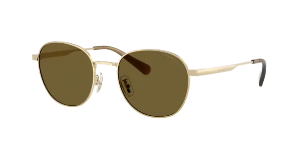 COACH Sunglass Cdp36 - Olive Solid