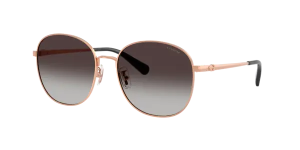 COACH Sunglass Cdp39 - Grey Gradient