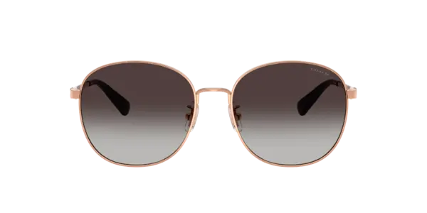 COACH Sunglass Cdp39 - Grey Gradient