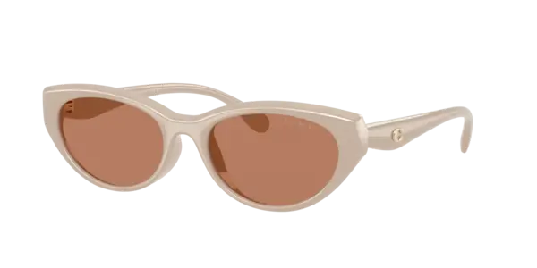 COACH Sunglass Cdp42 - Brown Solid