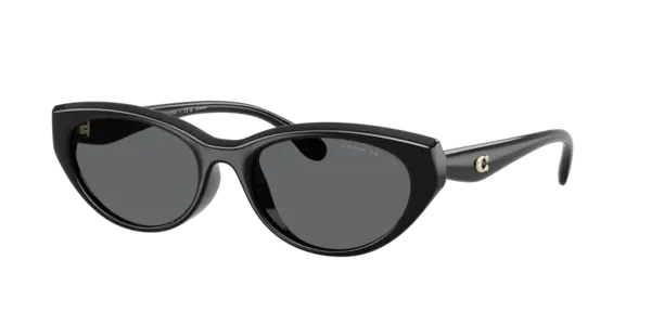 COACH Sunglass Cdp42 - Grey Solid Polarized