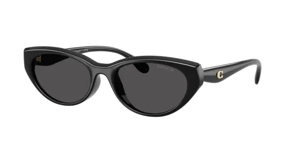 COACH Sunglass Cdp42 - Grey Solid