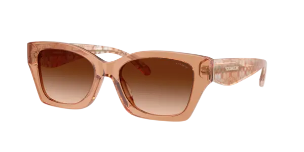 COACH Sunglass Cdp49 - Brown Gradient