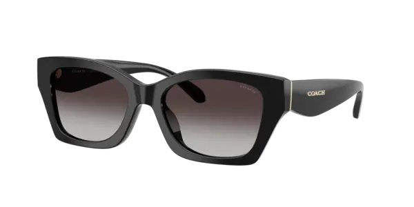 COACH Sunglass Cdp49 - Grey Gradient