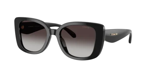 COACH Sunglass Cdp48 - Grey Gradient