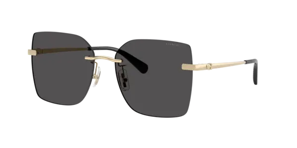 COACH Sunglass Cdp45 - Grey Solid