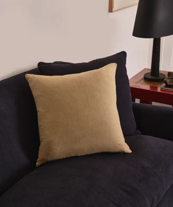TTMM FOR JENNI KAYNE HOME Vale Pillow