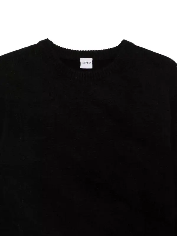 Aspesi Crew-neck Ribbed-trim Sweater