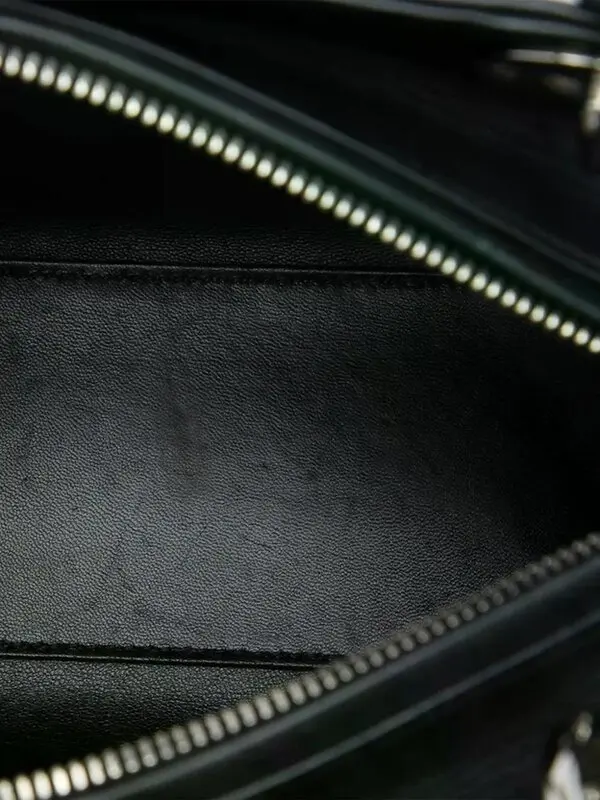 Dior 2015 Medium Calfskin Paradise Lady Satchel