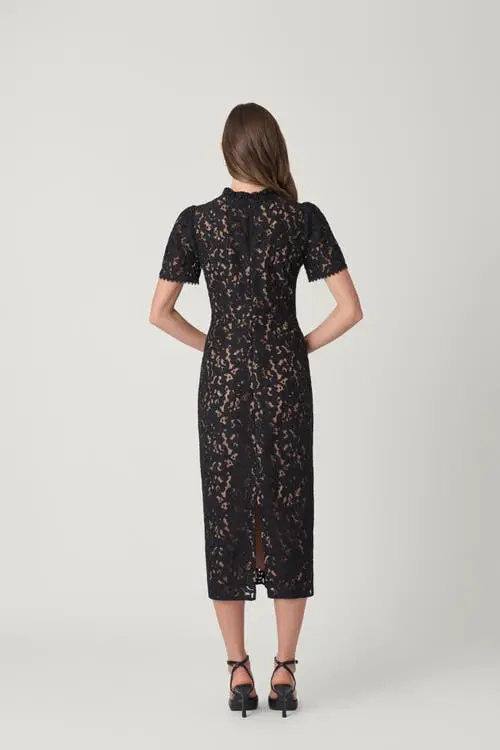 Shoshanna Corded Lace Wells Dress