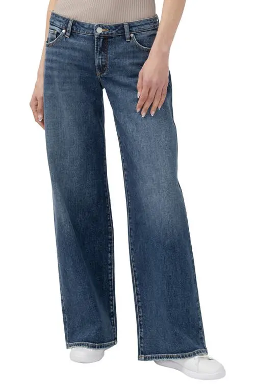 SILVER JEANS CO. Low Rise Baggy Wide Leg Jeans