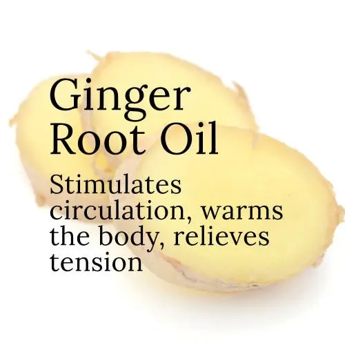 ELVIS+ELVIN Ginger Body Oil