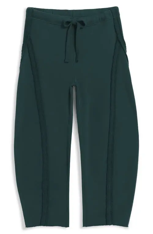 Frank & Eileen Bibi Barrel Leg Cotton Pants
