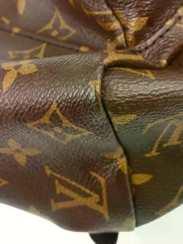 LOUIS VUITTON 2017 Mm Palm Springs Backpack