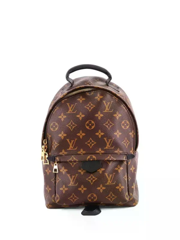 LOUIS VUITTON Palm Springs Monogram Canvas Pm Backpack - Brown