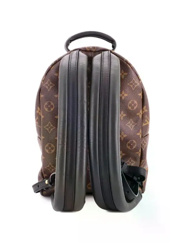 LOUIS VUITTON Palm Springs Monogram Canvas Pm Backpack - Brown