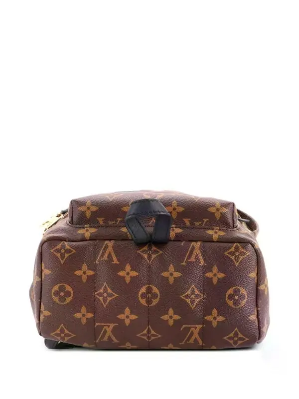 LOUIS VUITTON Palm Springs Monogram Canvas Pm Backpack - Brown