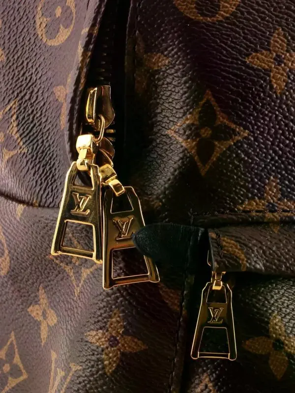 LOUIS VUITTON Palm Springs Monogram Canvas Pm Backpack - Brown
