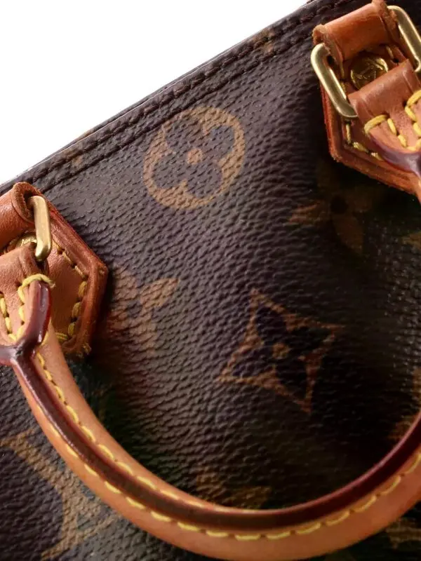 LOUIS VUITTON Speedy Bandouliere Bag Monogram Canvas Nano Crossbody Bag