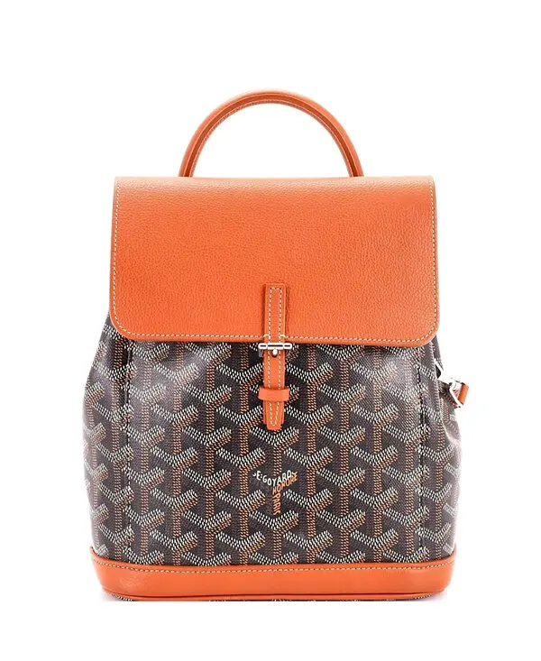 Goyard Alpin Backpack Coated Canvas