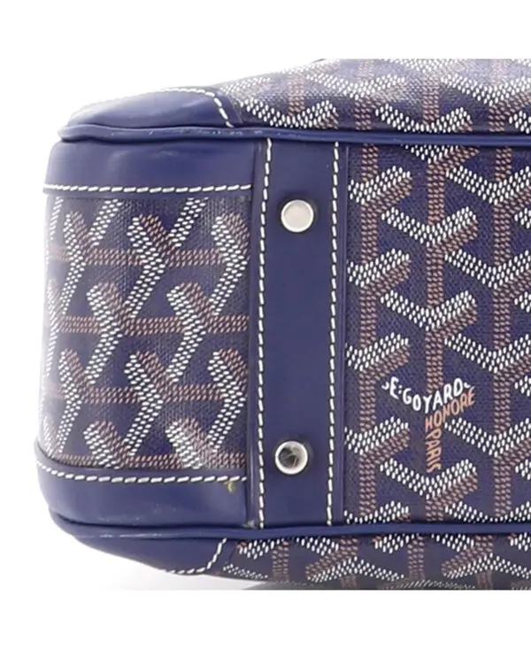 Goyard Mm Saint Jeanne Bag Coated Canvas