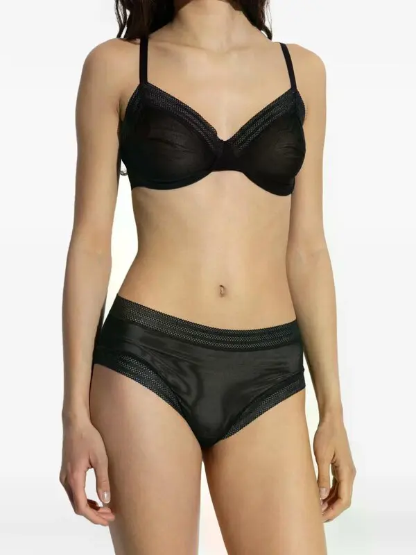 Hanro Sheer Lace-trim Briefs